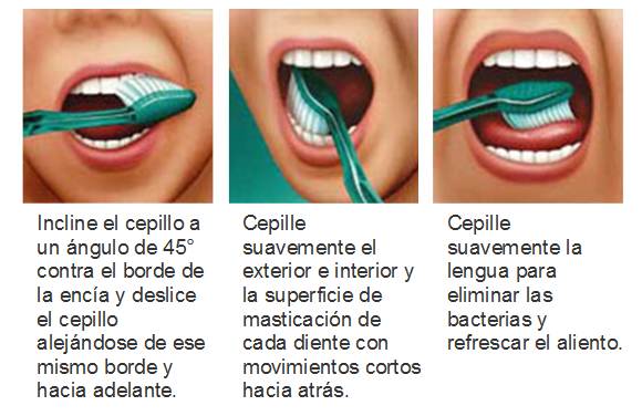 Cepillado y la salud de tus dientes - Amora Clínica Dental